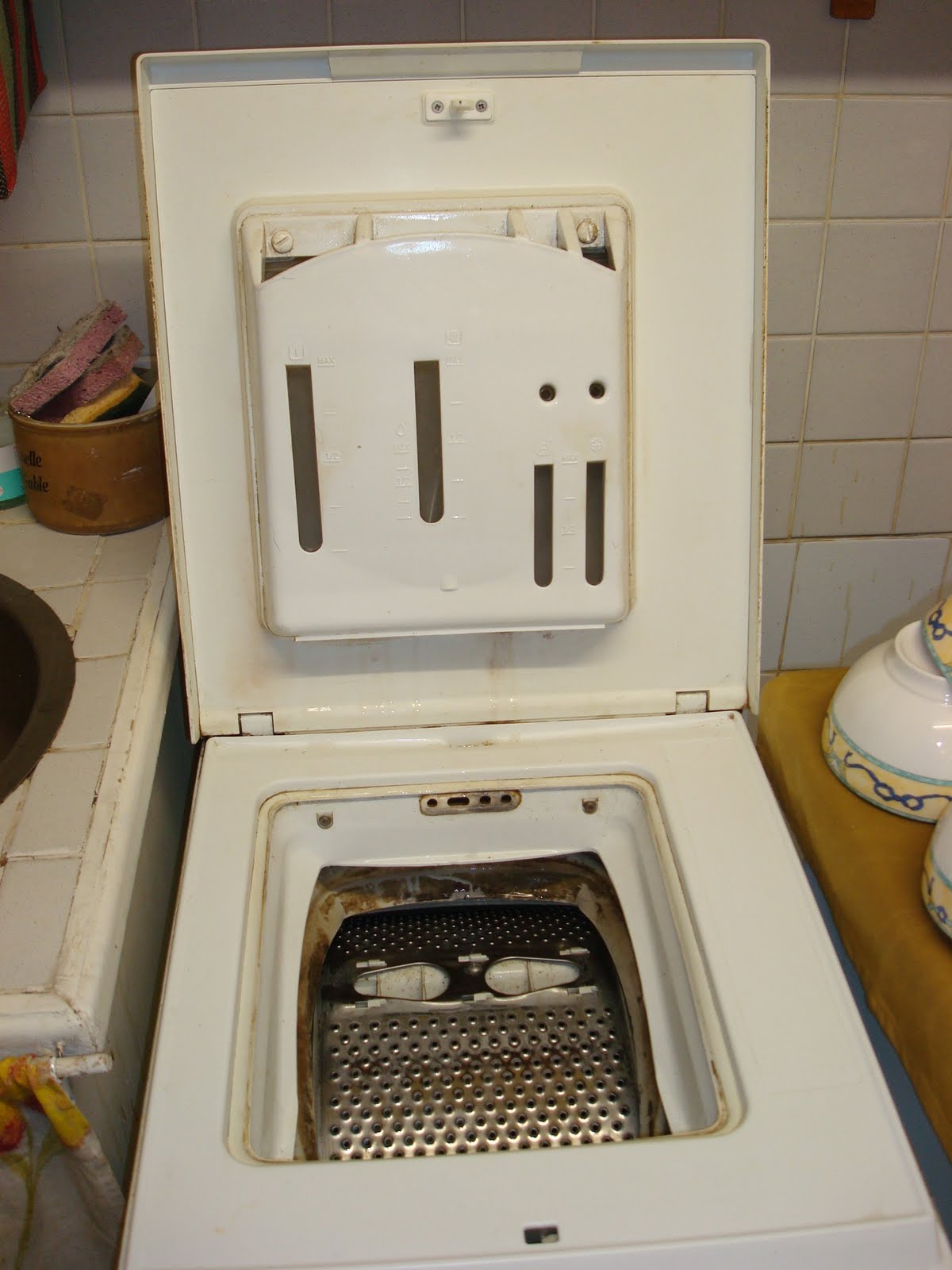 How the Light Gets In: Paris, Day 6 -- Ellen vs. the Arthur Martin ...