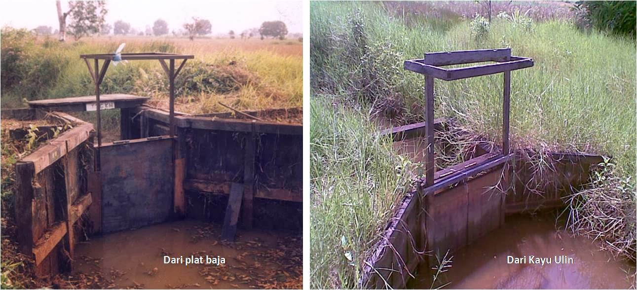 Pengelolaan Lahan Rawa