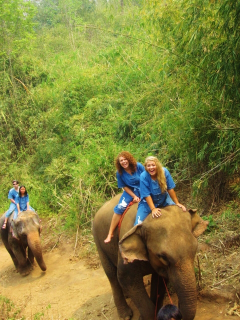 Wander: Bungee Jumping and a day with the Elephants!