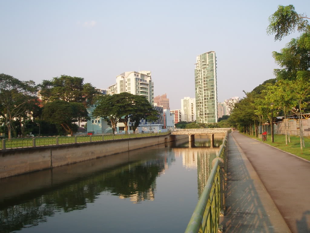 Interesting Green Alexandra Canal — A New Look And Better Drainage
