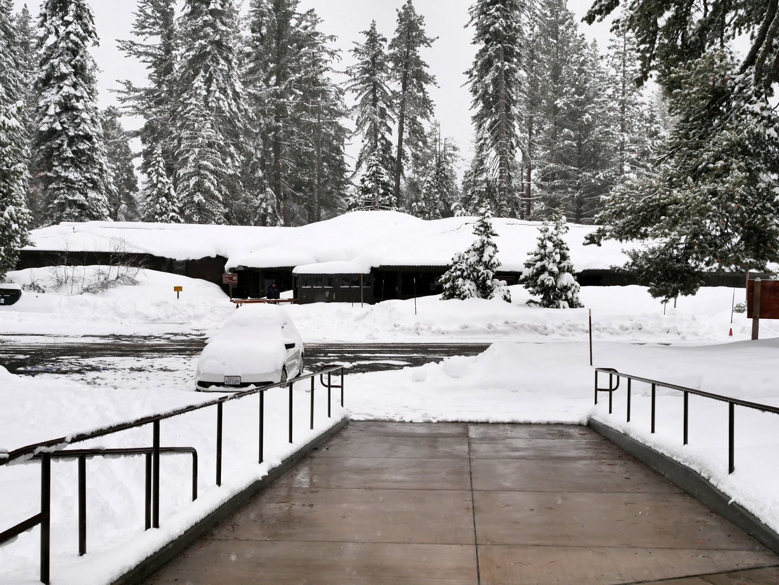 American Travel Journal: Grant Grove Village - Kings Canyon National Park