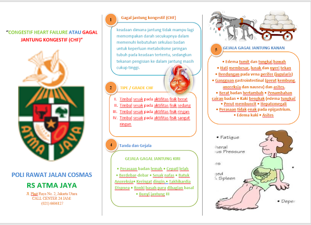(Download) Leaflet GAGAL JANTUNG KONGESTIF CHF Congestive Heart Failure ...