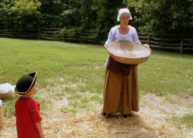 Under The Old Oak Tree: My Wild Colonial Boy