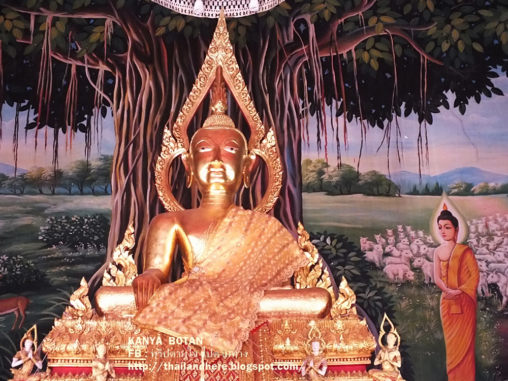 Thailand here ทริปตามใจ ไปตามทาง: ตลาดน้ำไทรน้อย วัดไทรใหญ่ นนทบุรี ...