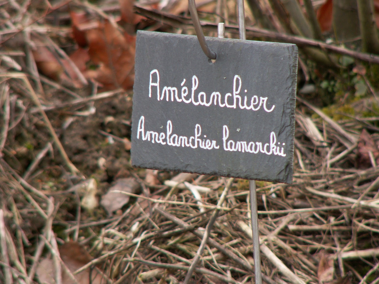 lea animaux de mon coeur: Visite de EANA le 04.04.2011.