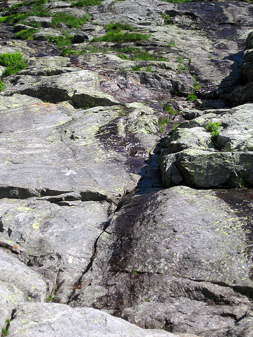 Hiking in the White Mountains: 'The Beasts of the East' ~ Huntington ...