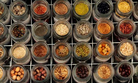 Temperate Climate Permaculture: Seed Banks