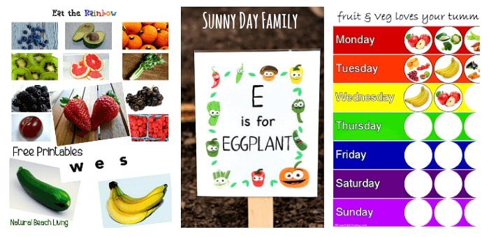 9 More Free Printables to Teach Healthy Eating | Sunny Day Family