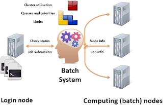 Pengertian dan Contoh dari Batch System, Critical Section, Process ...