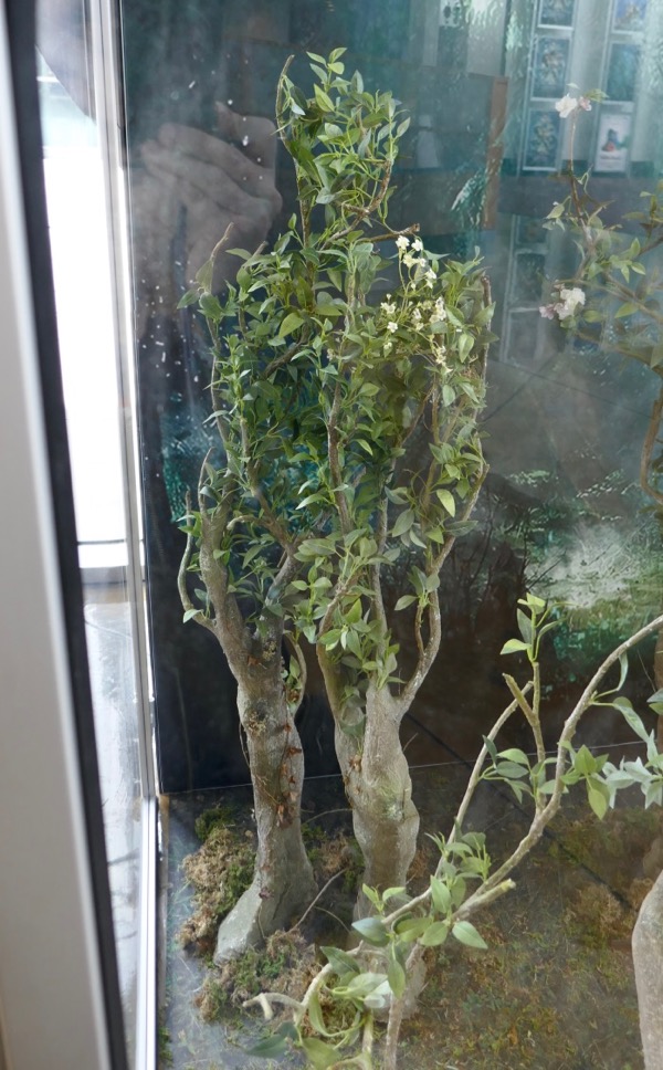 Hollywood Movie Costumes and Props: Natalie Portman and Gina Rodriguez ...