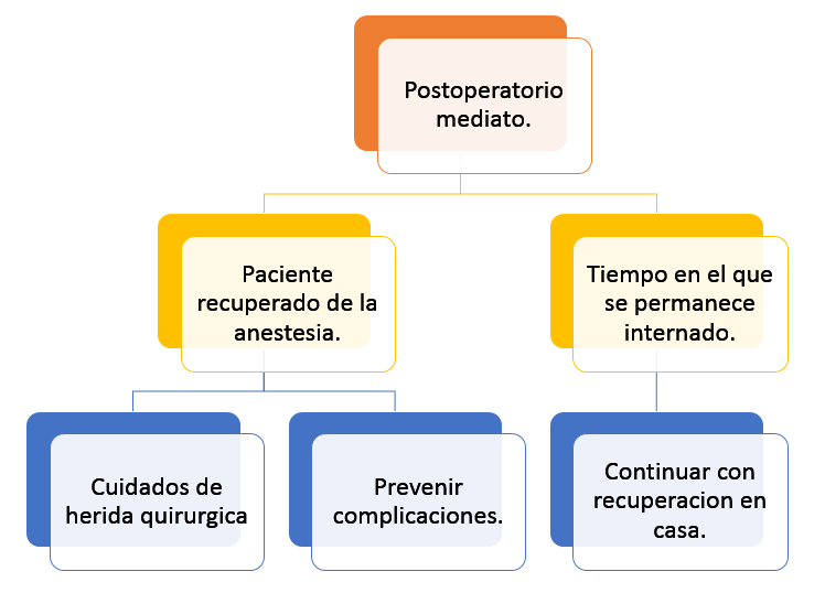 PACIENTE QUIRÚRGICO: PACIENTE QUIRÚRGICO - POSTOPERATORIO