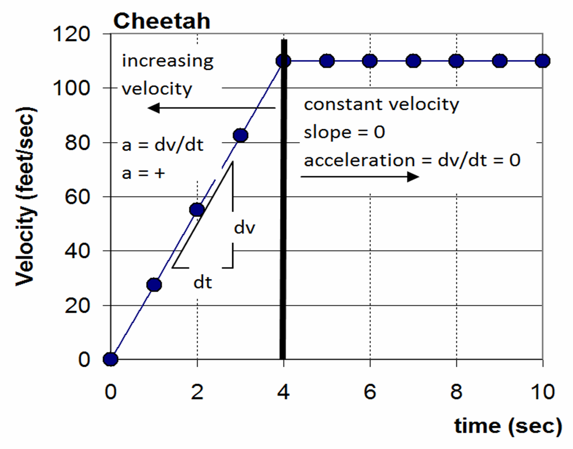 ENGR 1201: Dynamics!