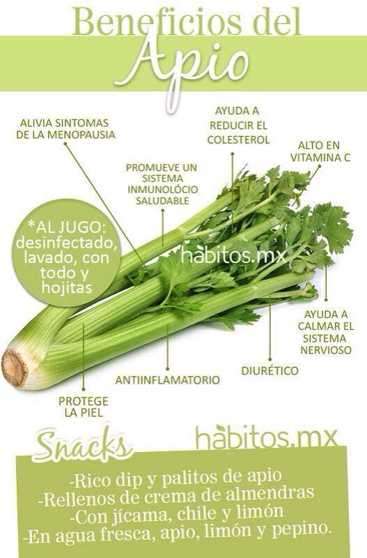 Hoy Aprendí - Sitio Web de bienestar: Propiedades y beneficios del apio ...