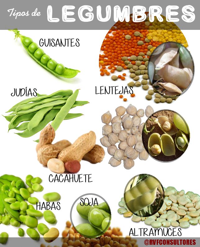 Taller de Ciencias Naturales: DEFINICIÓN DE LEGUMBRES