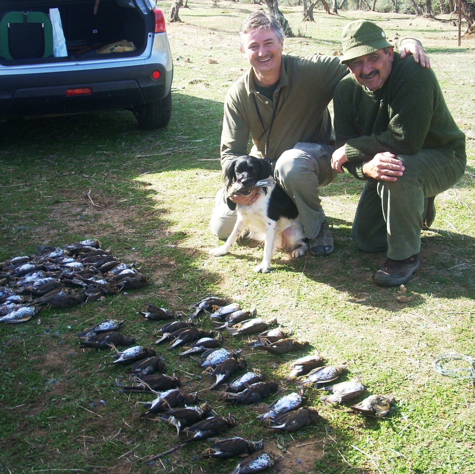 ¿QUÉ PASA CON LOS ZORZALES? - Blog de Lolo Mialdea - Tuslances.com - Tu ...