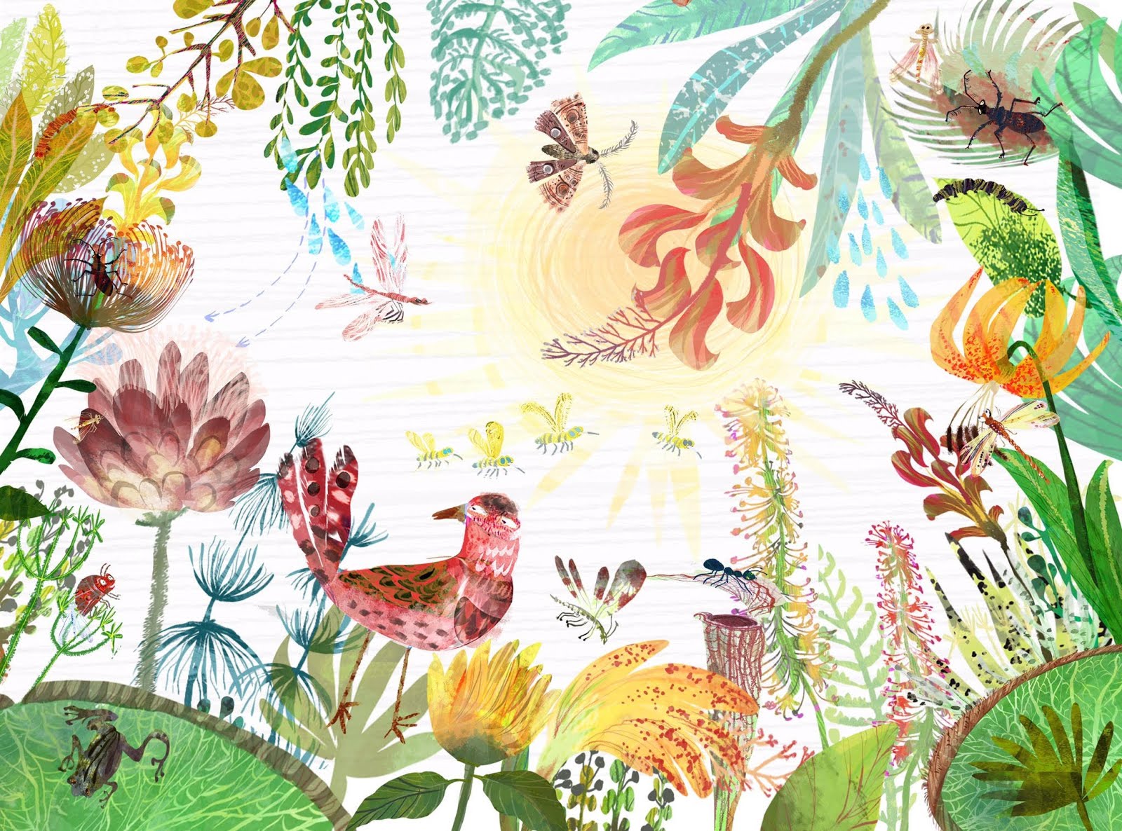 Let's Talk Picture Books: Let's Talk Illustrators #144: Yuval Zommer