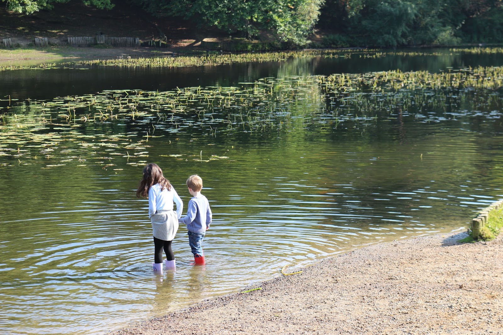 Top 10 Best Places to Visit in South London #9 Keston Ponds - Thimble ...