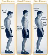 how to grow taller: Stop Letting Poor Muscle Tone Make You Shorter In ...