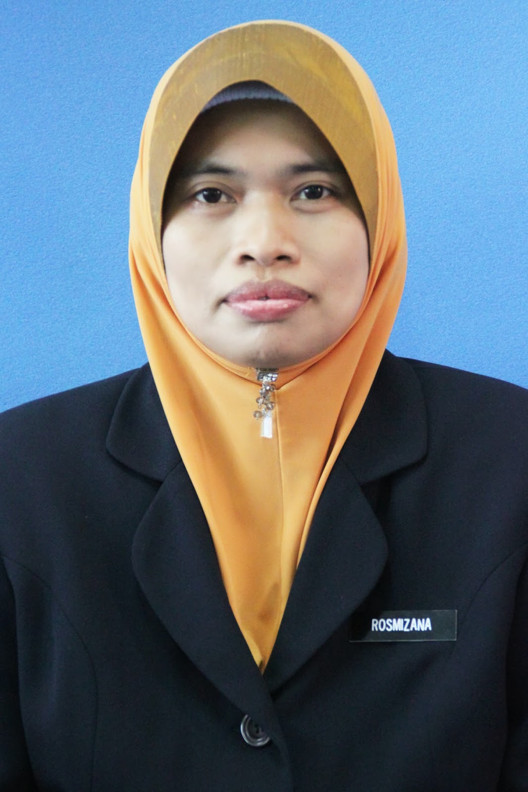 SK DATUK USMAN AWANG: KAKITANGAN SOKONGAN