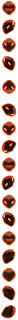 Graal head and templates: animal/non human heads