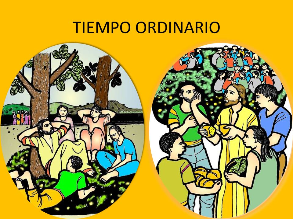 Parroquia de San Isidro Chapalita: diciembre 2015