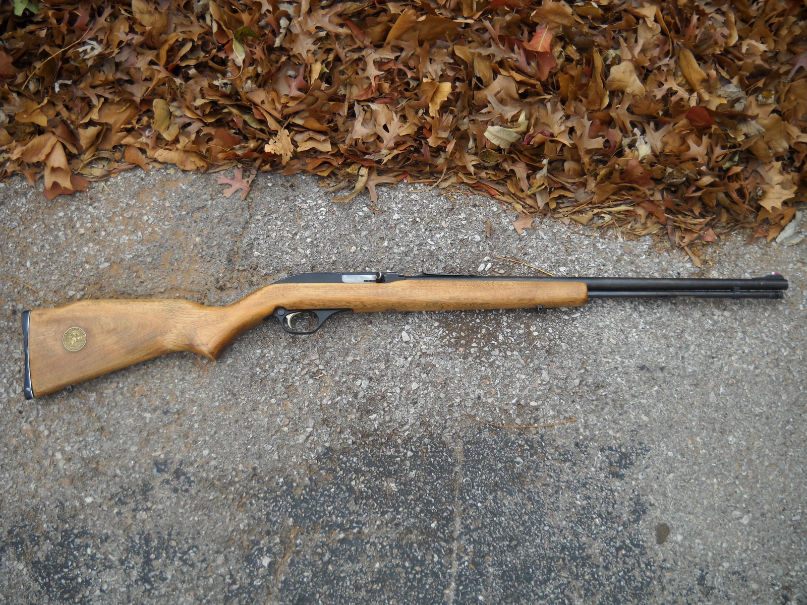 Semi Redneck Writings and "Research": The Marlin model 60 survival rifle
