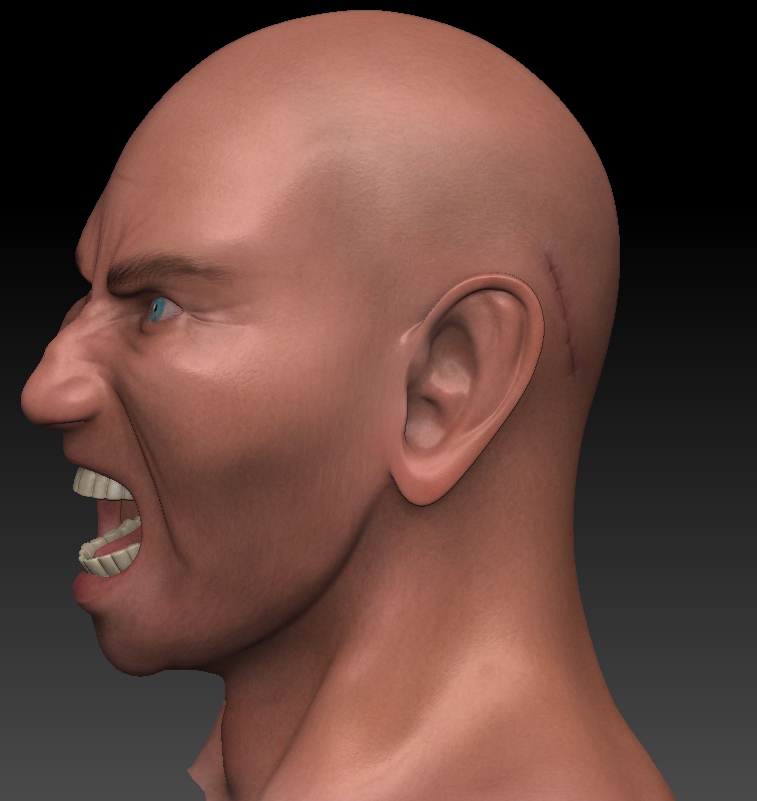 vishakha gupta: My First Zbrush Face Model with Texture