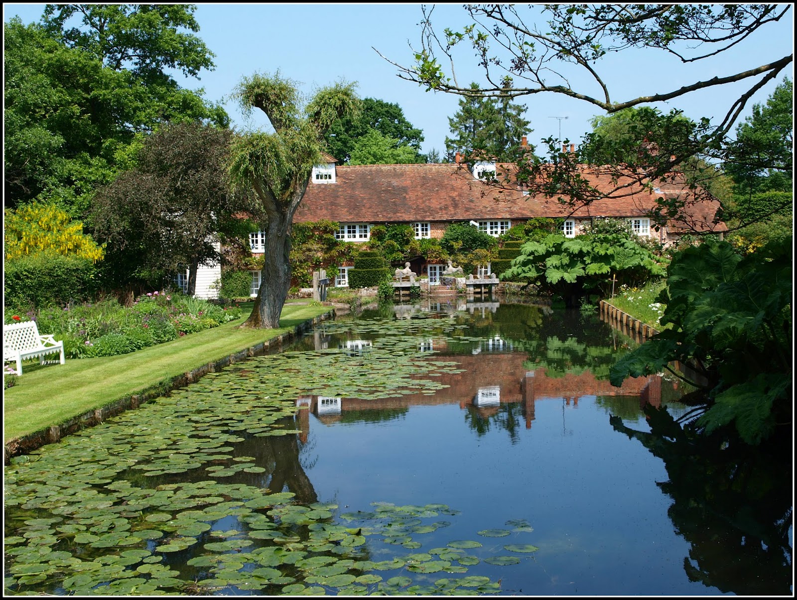 Mark's Veg Plot: Dipley Mill