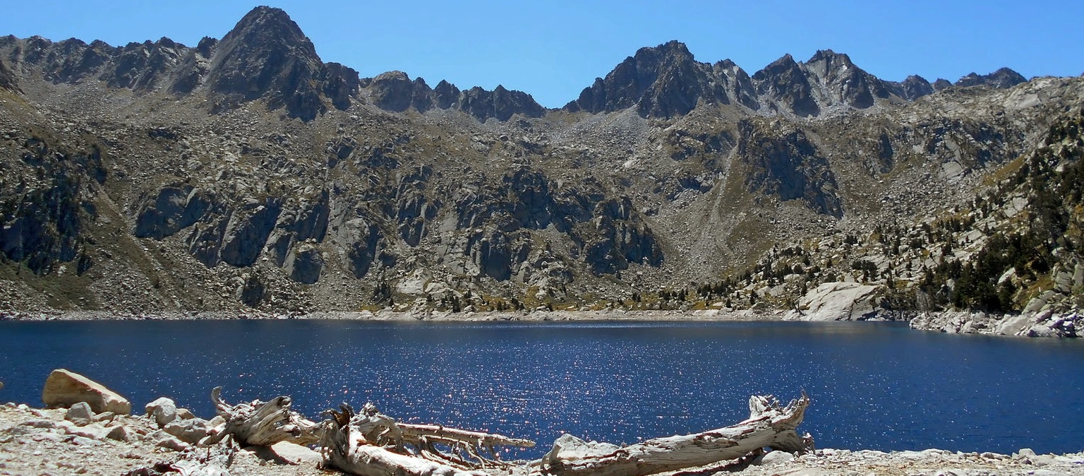 NATURA VIVA: ESTANY NEGRE DE PEGUERA