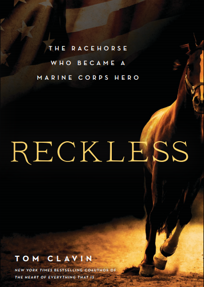 Horse News: Reckless - The Racehorse Who Became A Marine Corps Hero