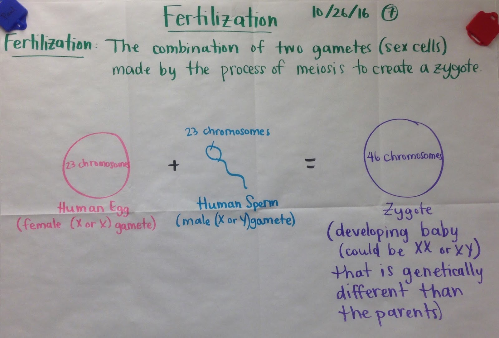 Mrs. Paul - Biology: Biology 2016-2017 Charts/Notes