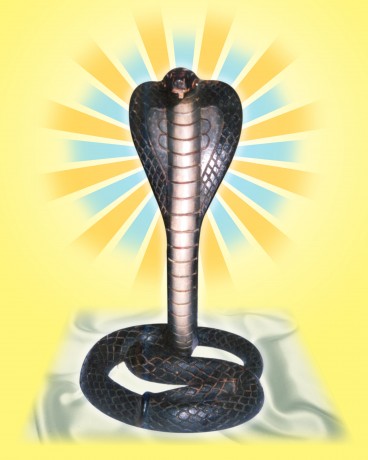 Goga maharaj HD Photo | Goga maharaj HD Wallpaper - HD Wallpaper