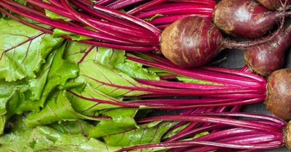 BUAH BIT MURAH TANGERANG - JUAL BUAH BIT MURAH