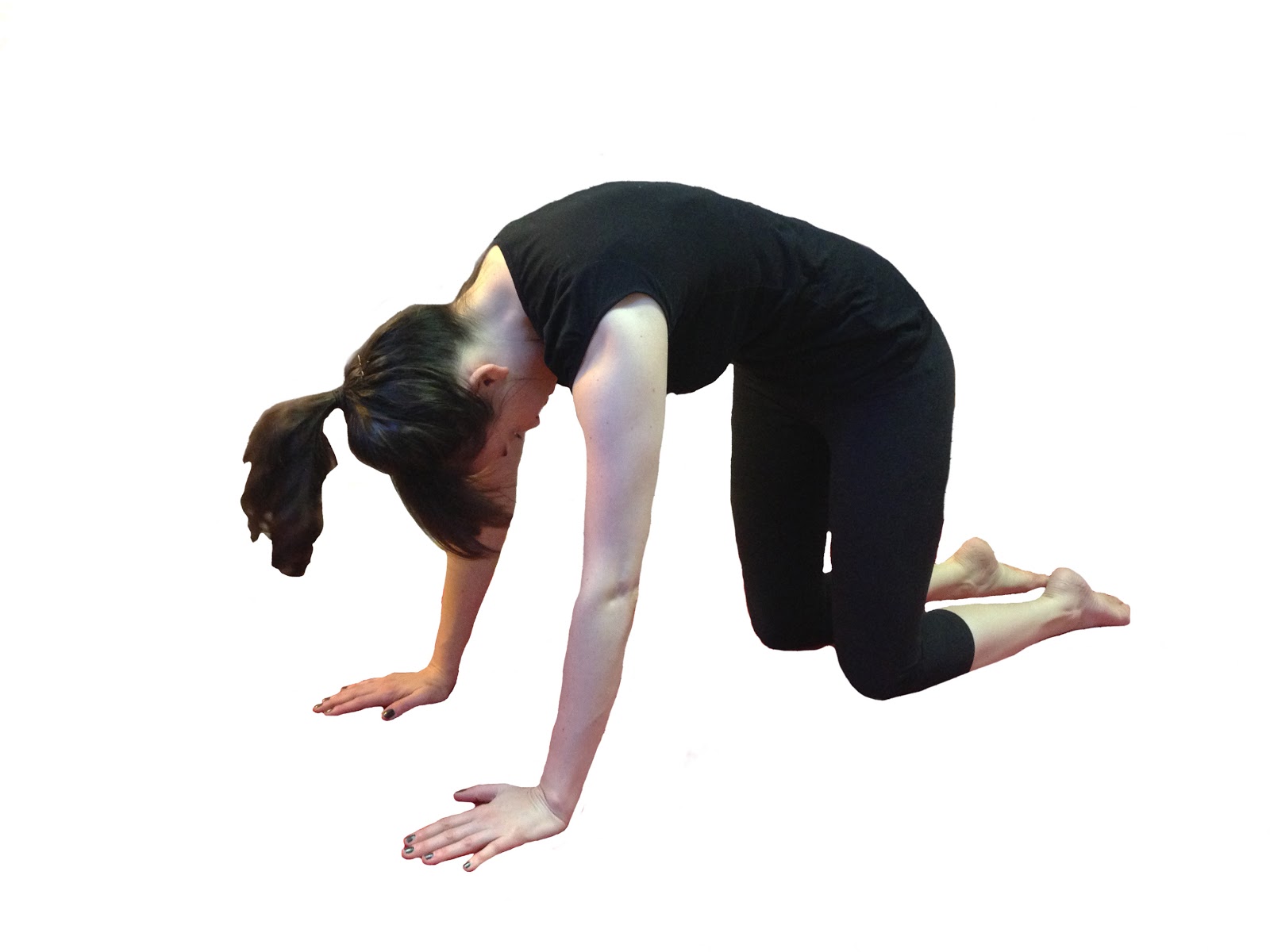 Exercise of the Day: Day 255- Quadrupded: Spine as a Jump Rope