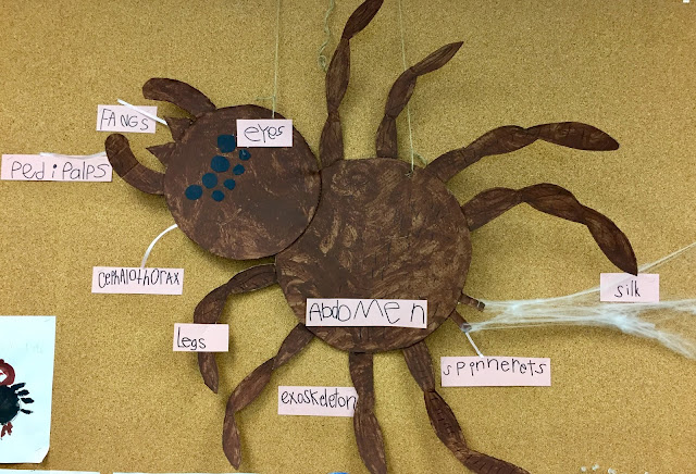 Wonder-full Inquiry: Spiders!