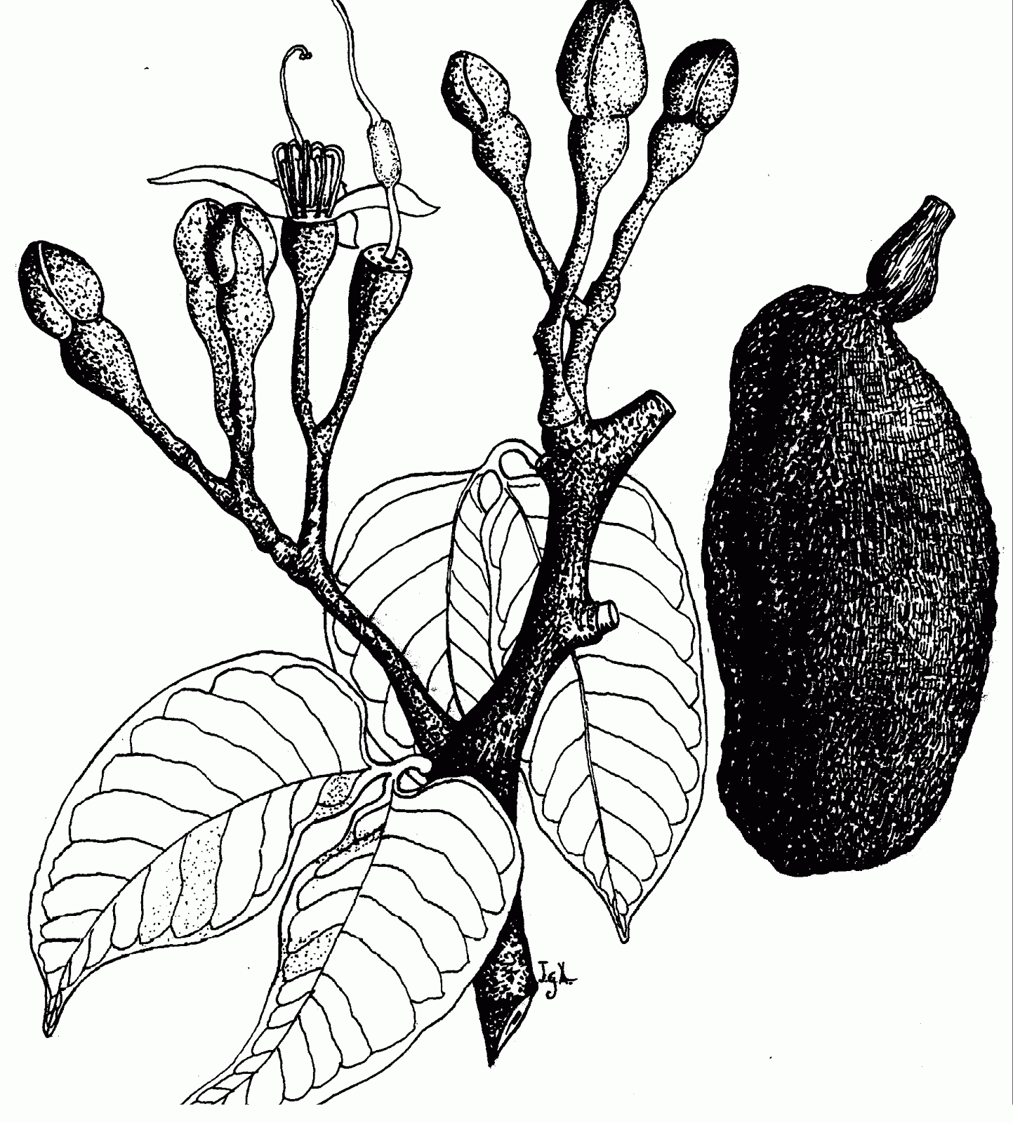 Como mejorar nuestras vidas y la de las próximas generaciones