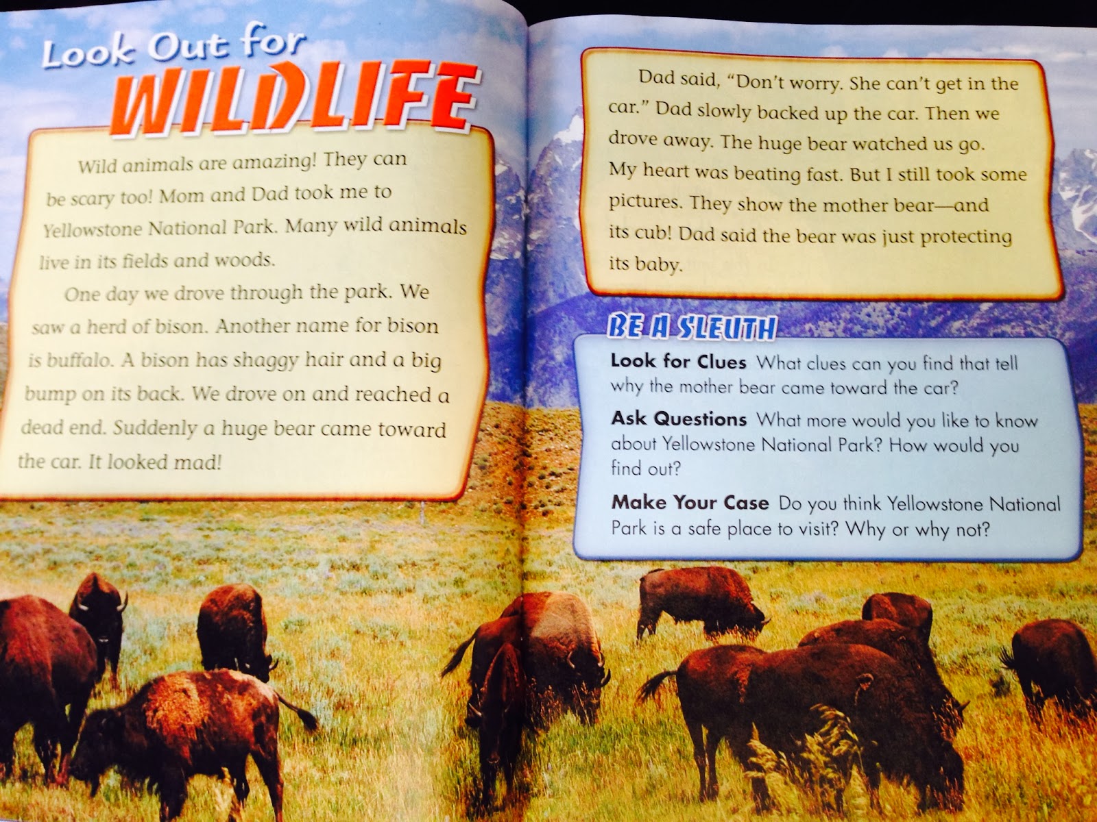 Halloran Happenings: Virtual Field Trip: Yellowstone National Park