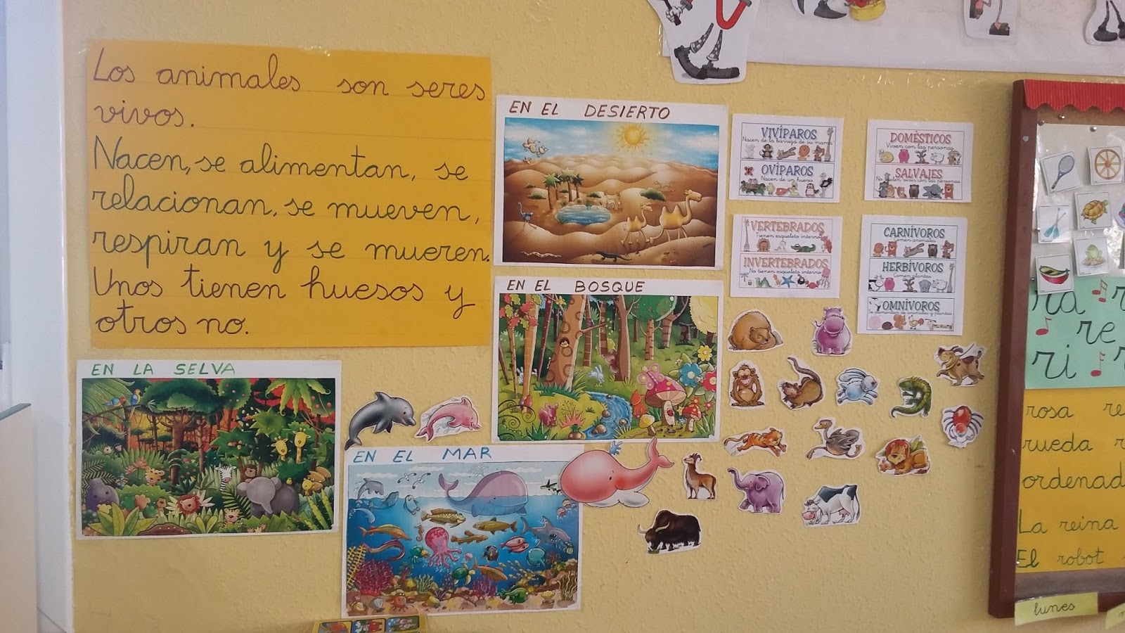 Y AHORA QUÉ?: UNIDAD 6 LOS ANIMALES