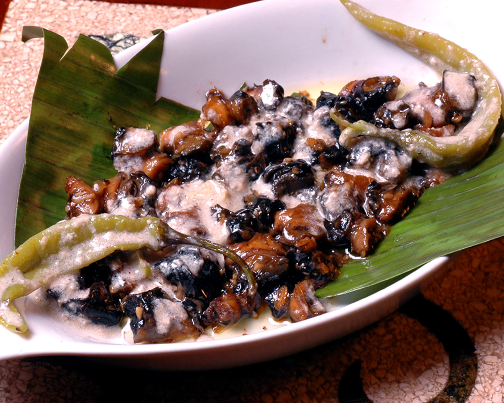 kuhol - philippin news collections