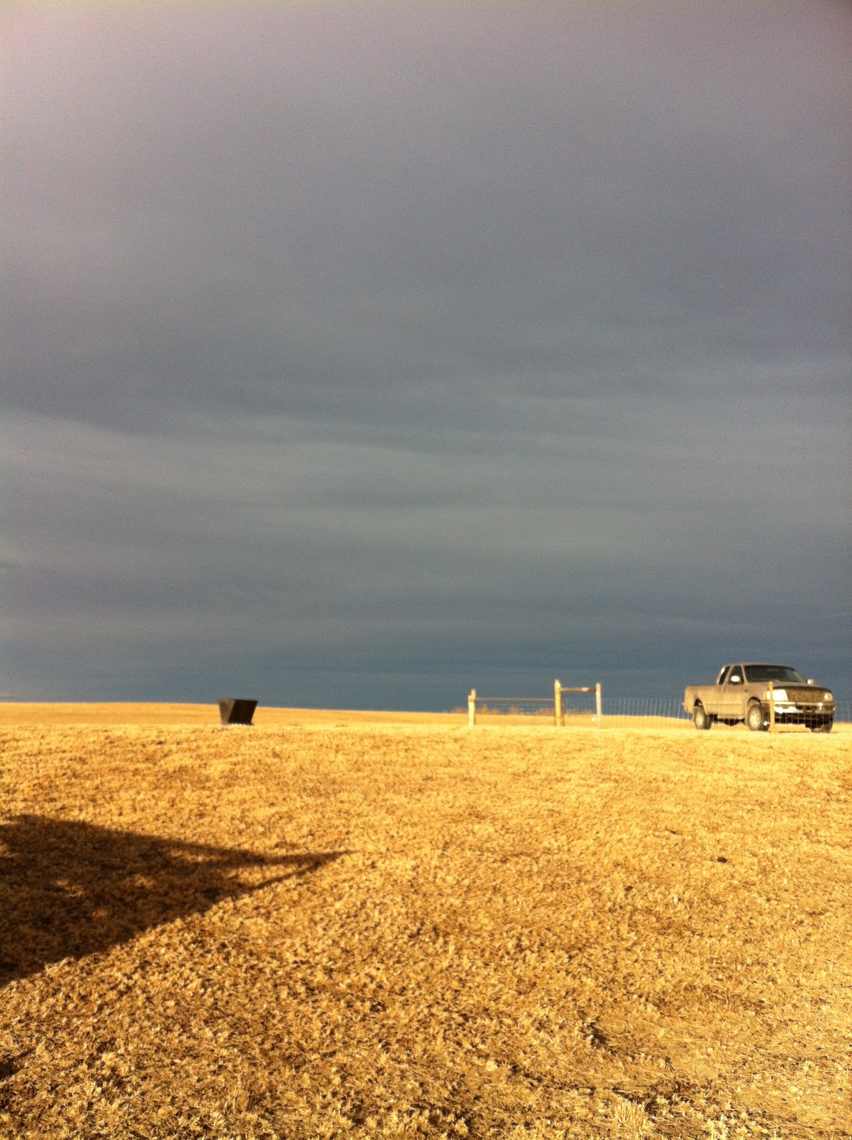 Pilgrim Farms: Fall work