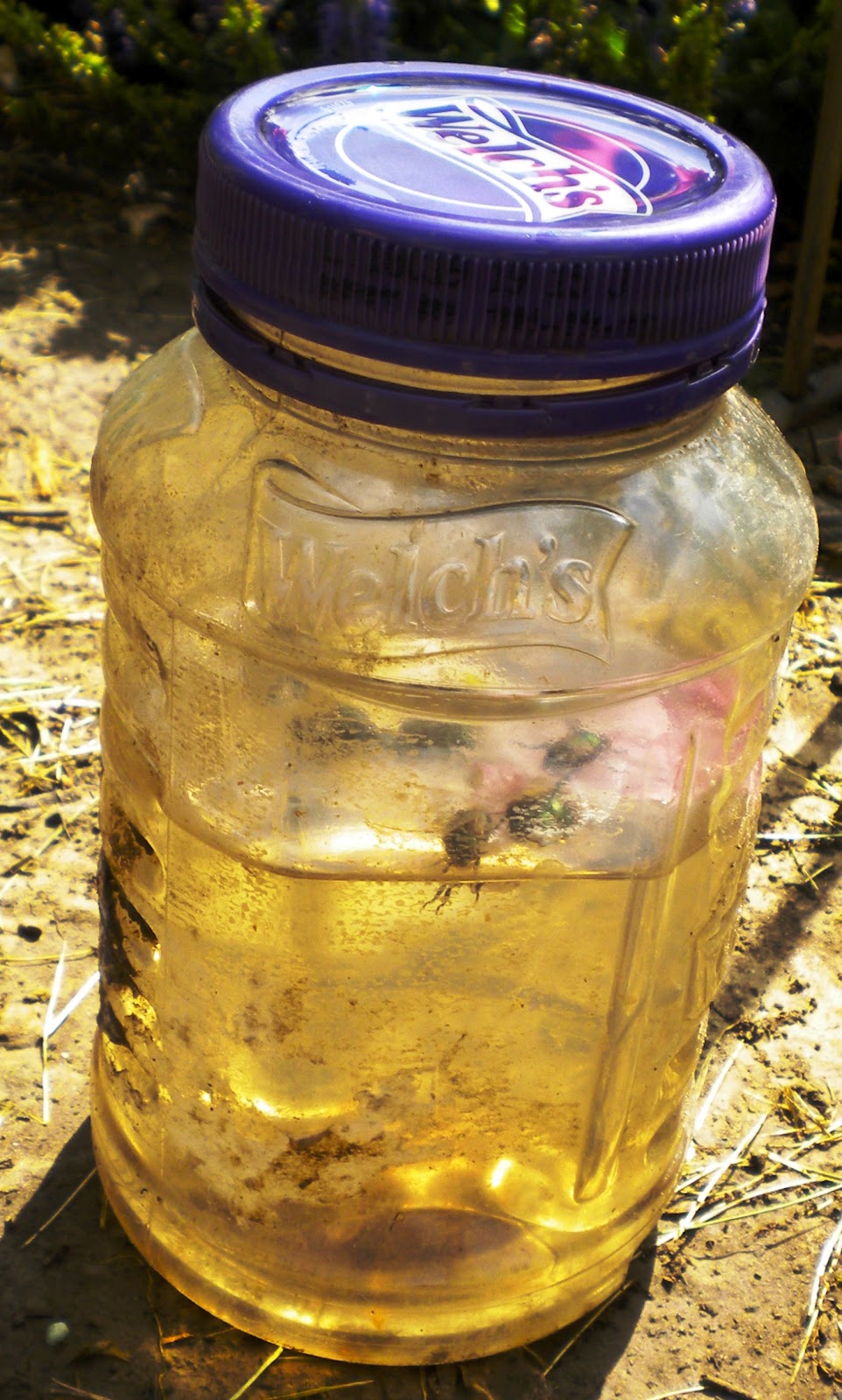 Pats Posts: June 2012