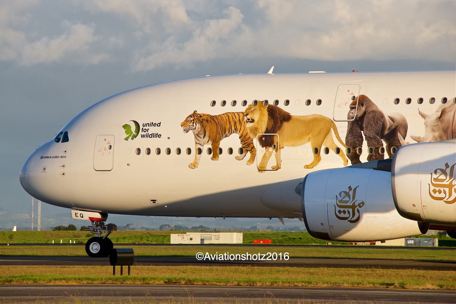 Aviationshotz: Emirates "United for Wildlife" A380, A6-EEQ
