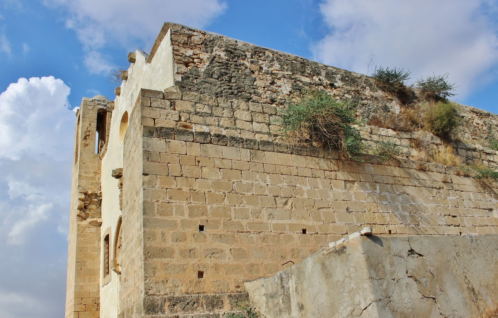 Biodiversity of Cyprus by NGO Protection of the Natural Heritage and ...