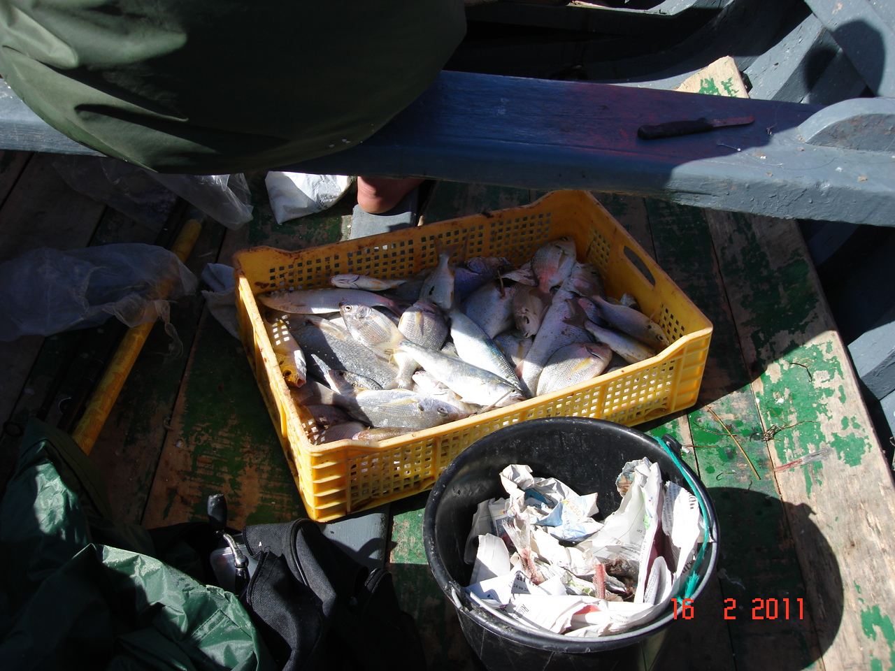 Poissons de la réserve Naila - MAROC PECHE