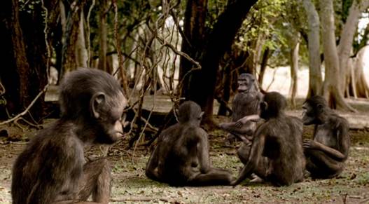 cerca de Ella podemos ver: características del Australopithecus