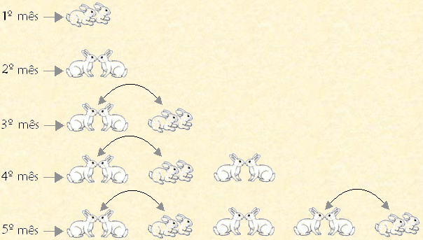 Matematicamente contando:::...: Os coelhos de Fibonacci Matematicamente contando:::...: Os coelhos de Fibonacci