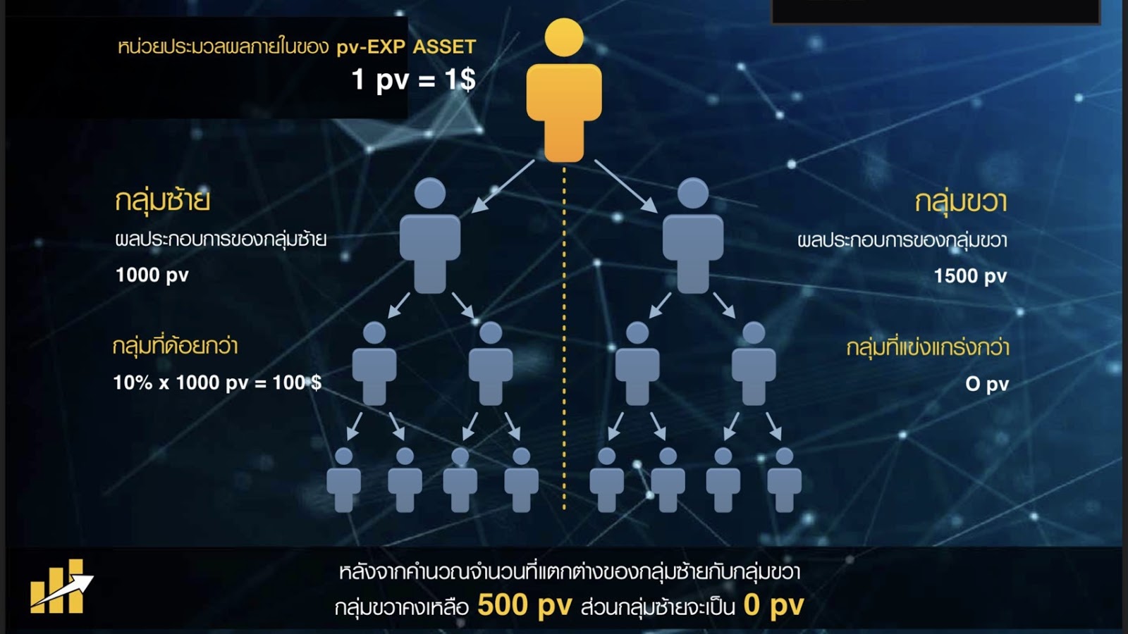 EXP ASSET trade and forex education