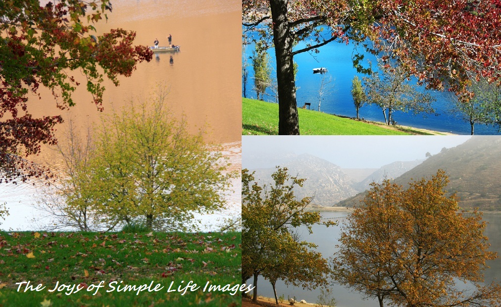 The Joys of Simple Life: Hikes from Lake Poway