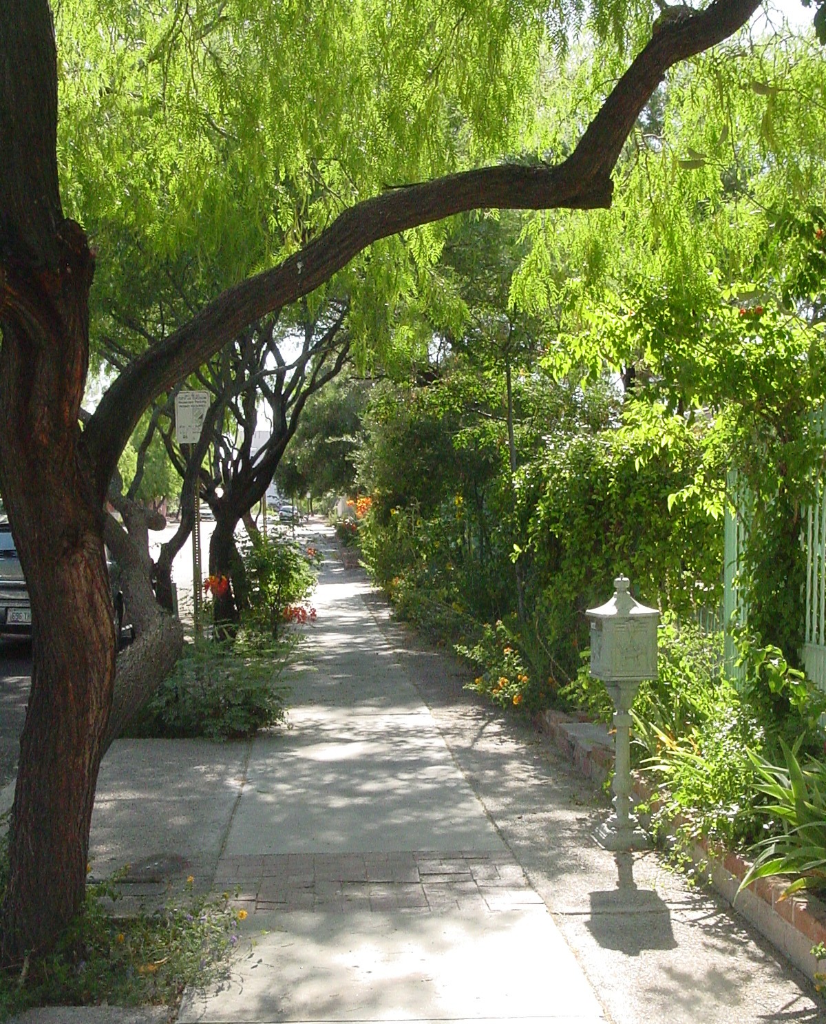 Tucson Daily Photo ~: Cool green walkway