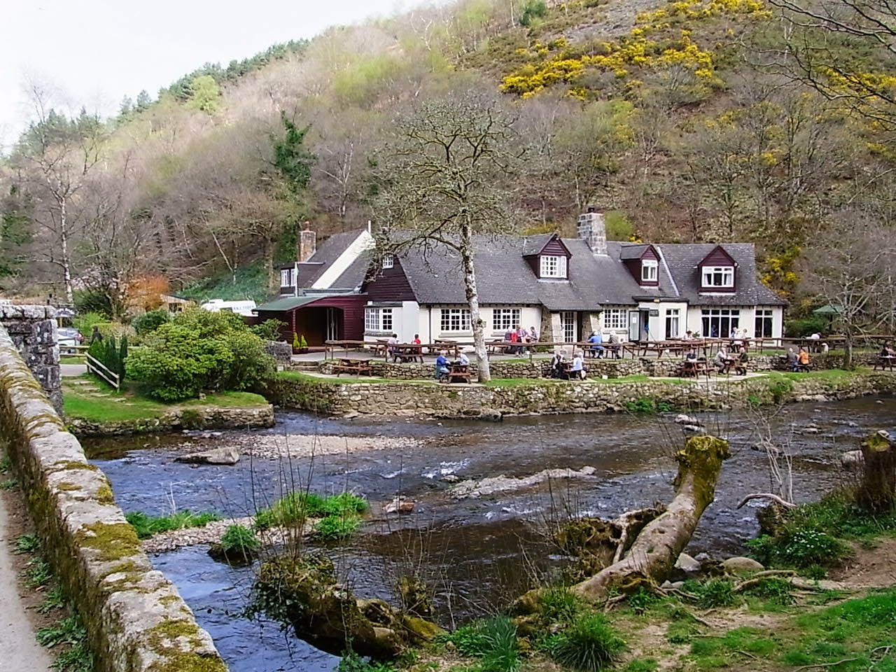 The Original PurpleTraveller....: A visit to Fingle Bridge....